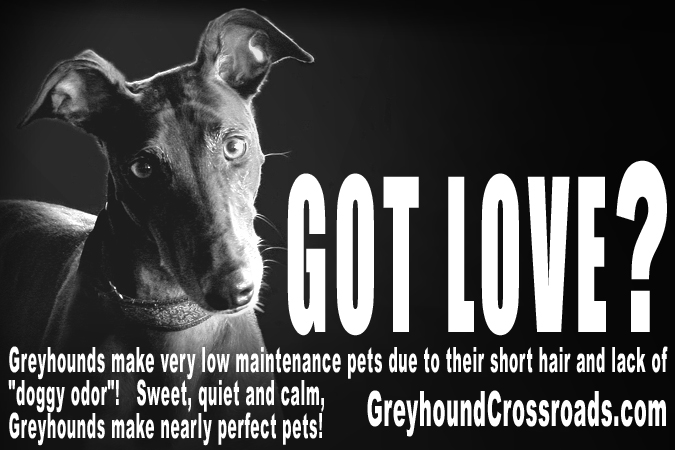 Greyhound Crossroads Our Mission